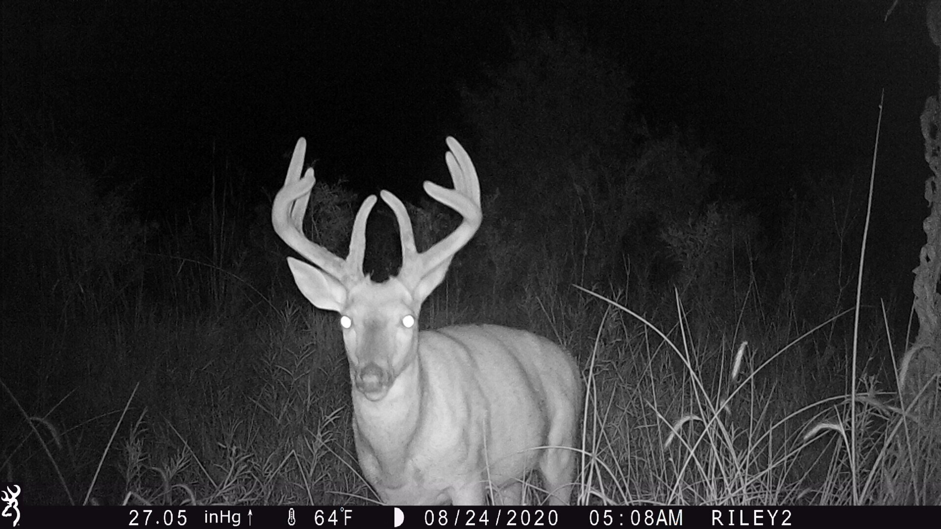 Nebraska Whitetail & Mule Deer Hunts - Guide & Outfitter