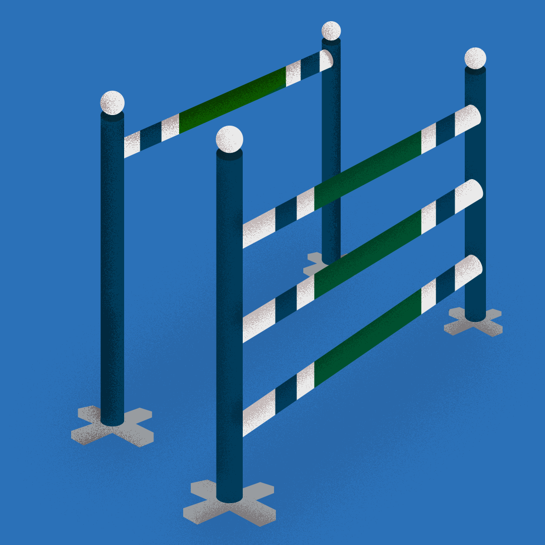 Types of Showjumping Jumps: A Visual Guide