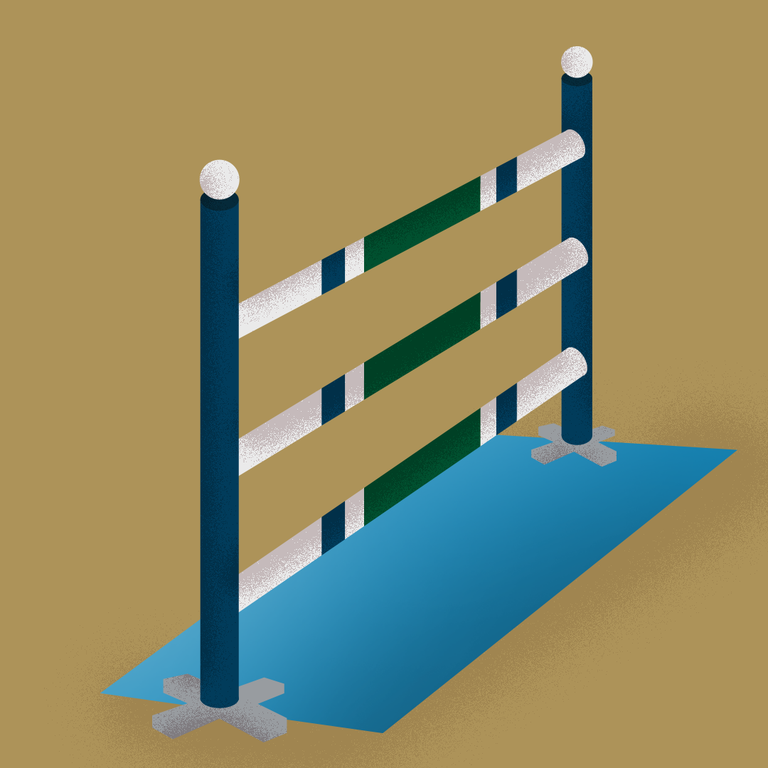 Types of Showjumping Jumps: A Visual Guide