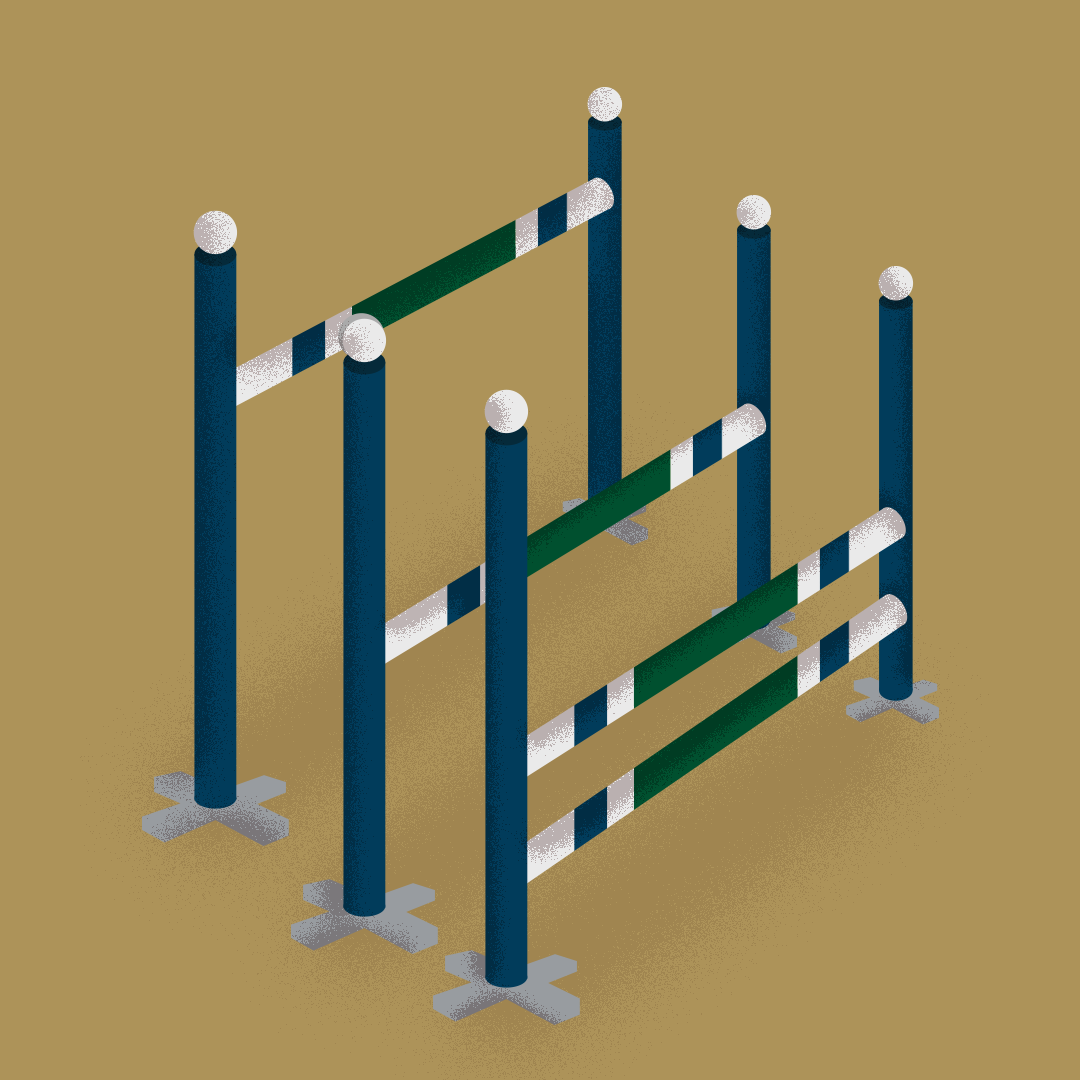 Types of Showjumping Jumps: A Visual Guide