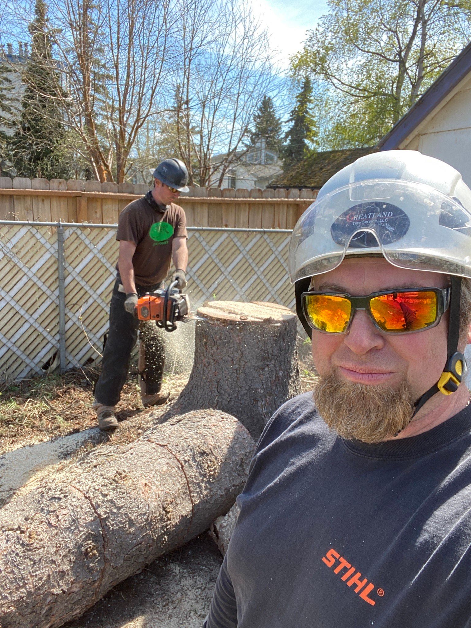Tree Contractors | Anchorage, AK | Greatland Tree Service
