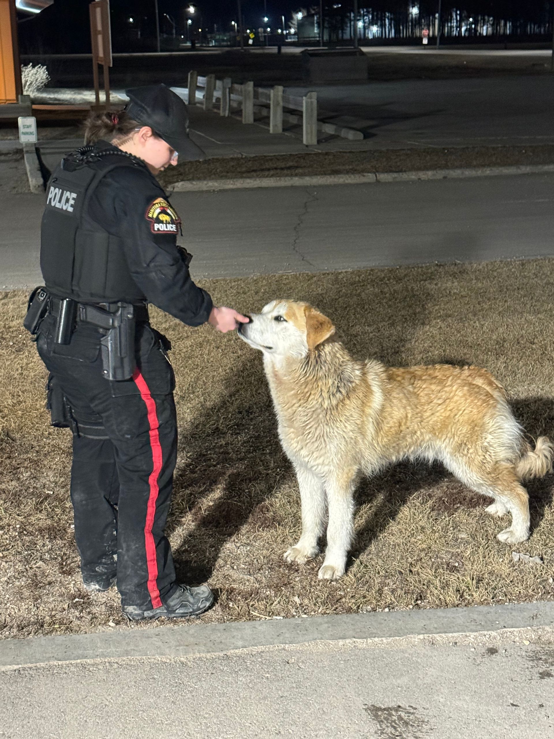 Police Save Dog From Drowning