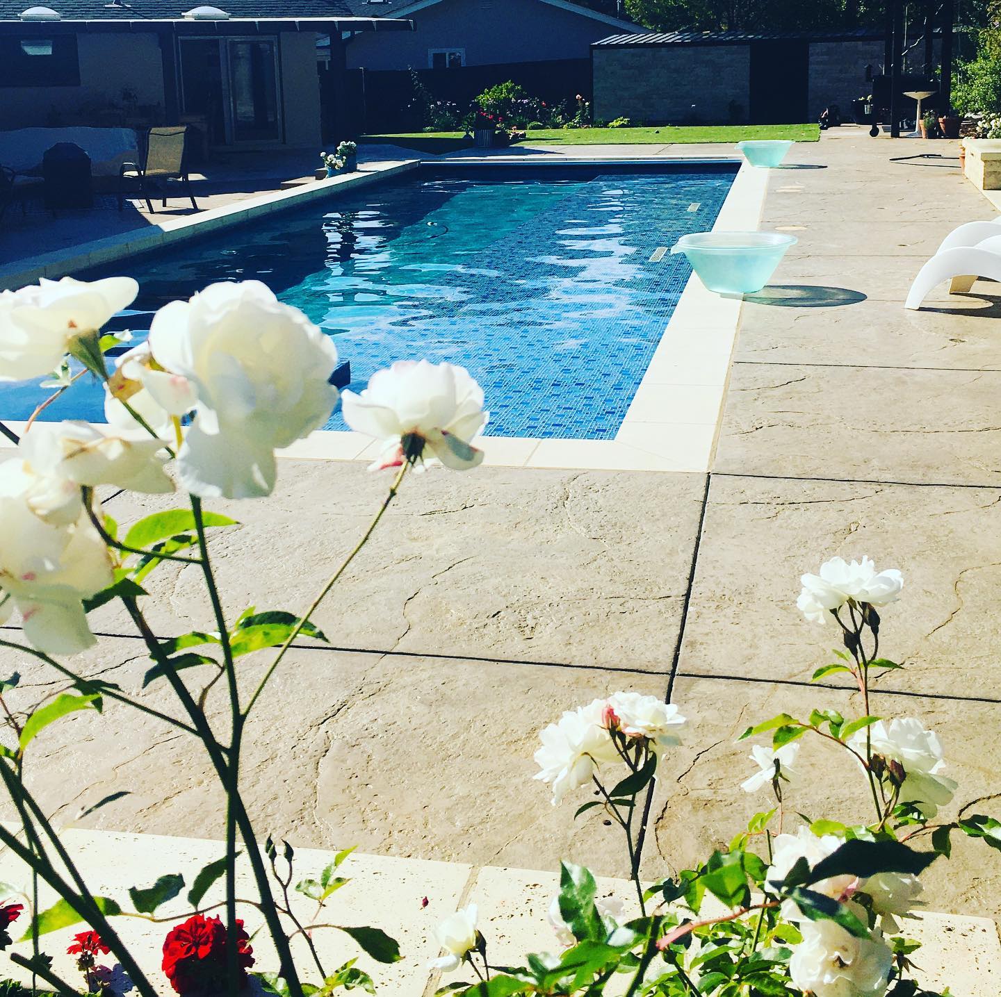 Pool Tile | Burlingame, CA | Bay Area Pools, Inc.