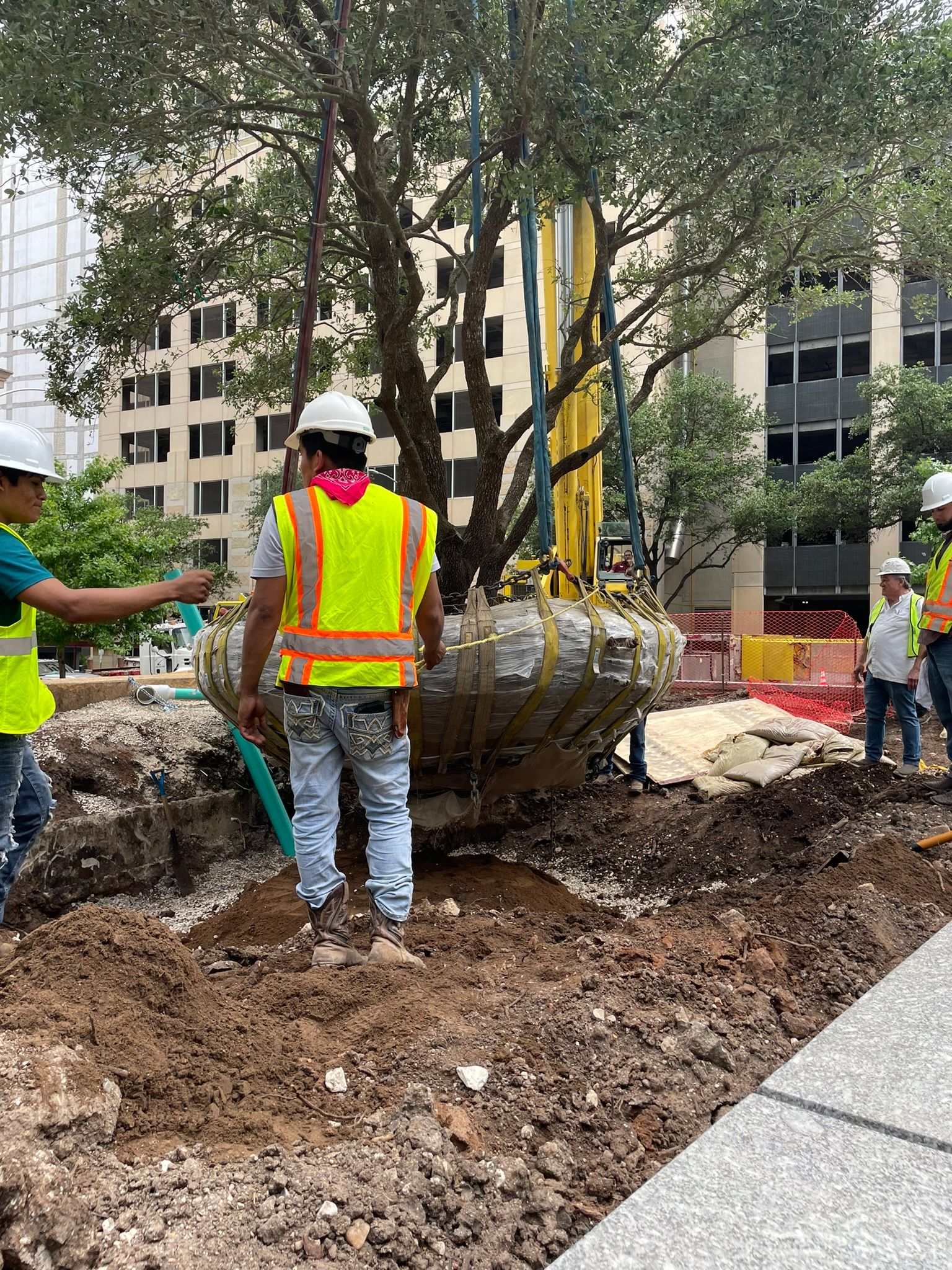 Traffic Control Design & ROW Permits for Downtown Austin Tree Install