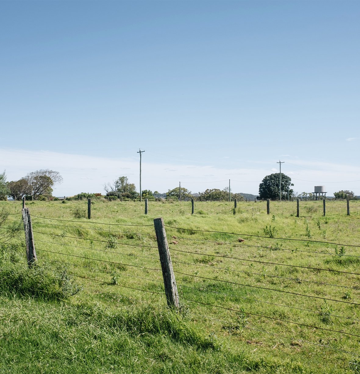 Suburb Profiles | Ecology Property
