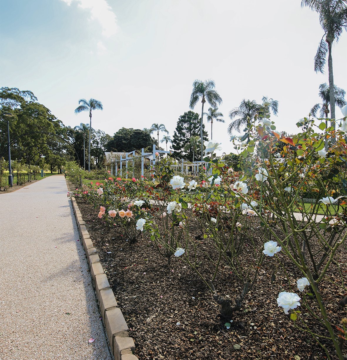 Suburb Profiles | Ecology Property