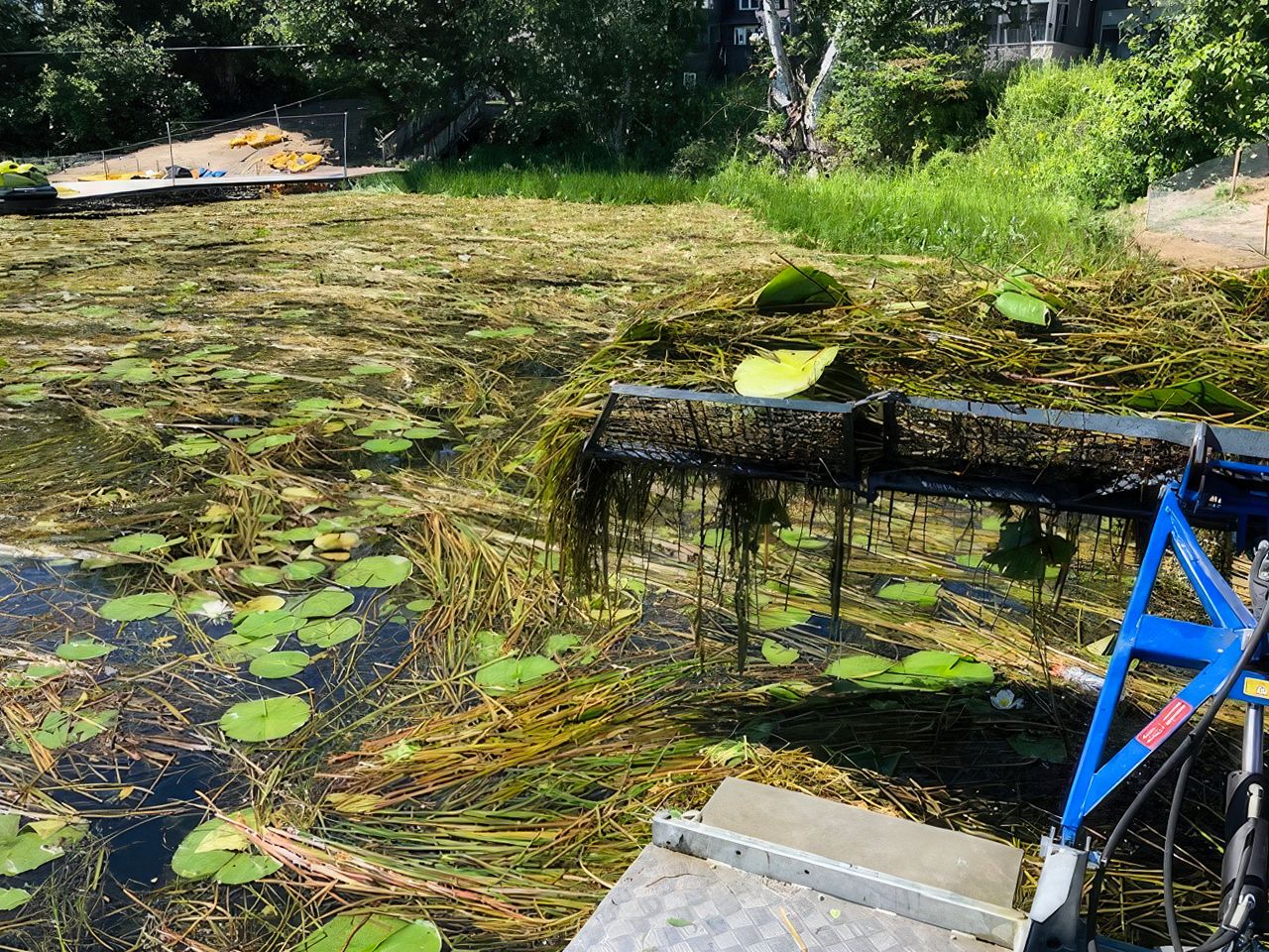 Weedless Waterways | Ontario Lake and Pond Weed Removal Services