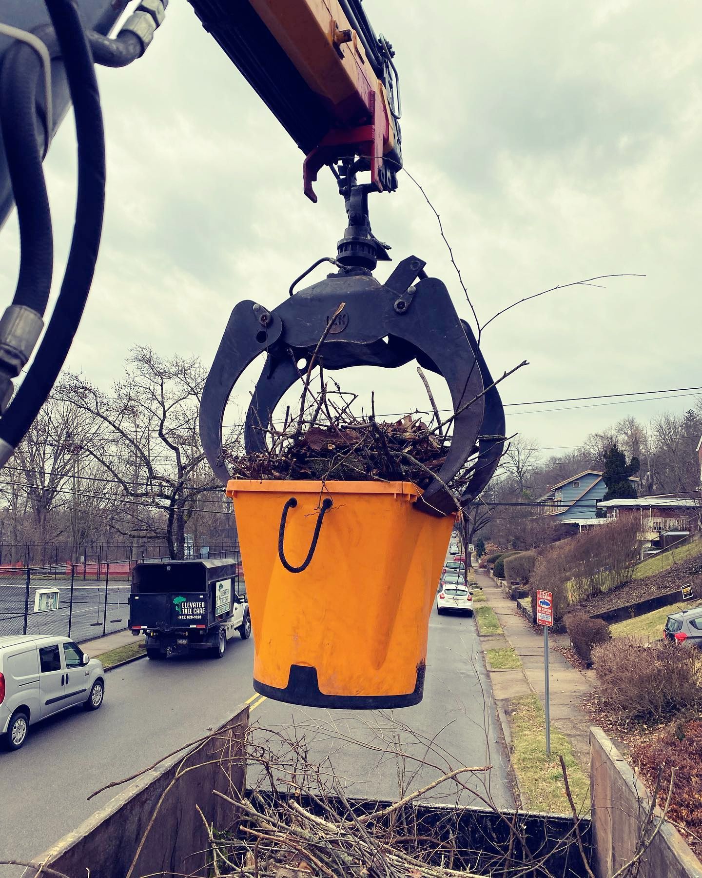 Tree Care Gallery | Elevated Tree Care | Pittsburgh, PA