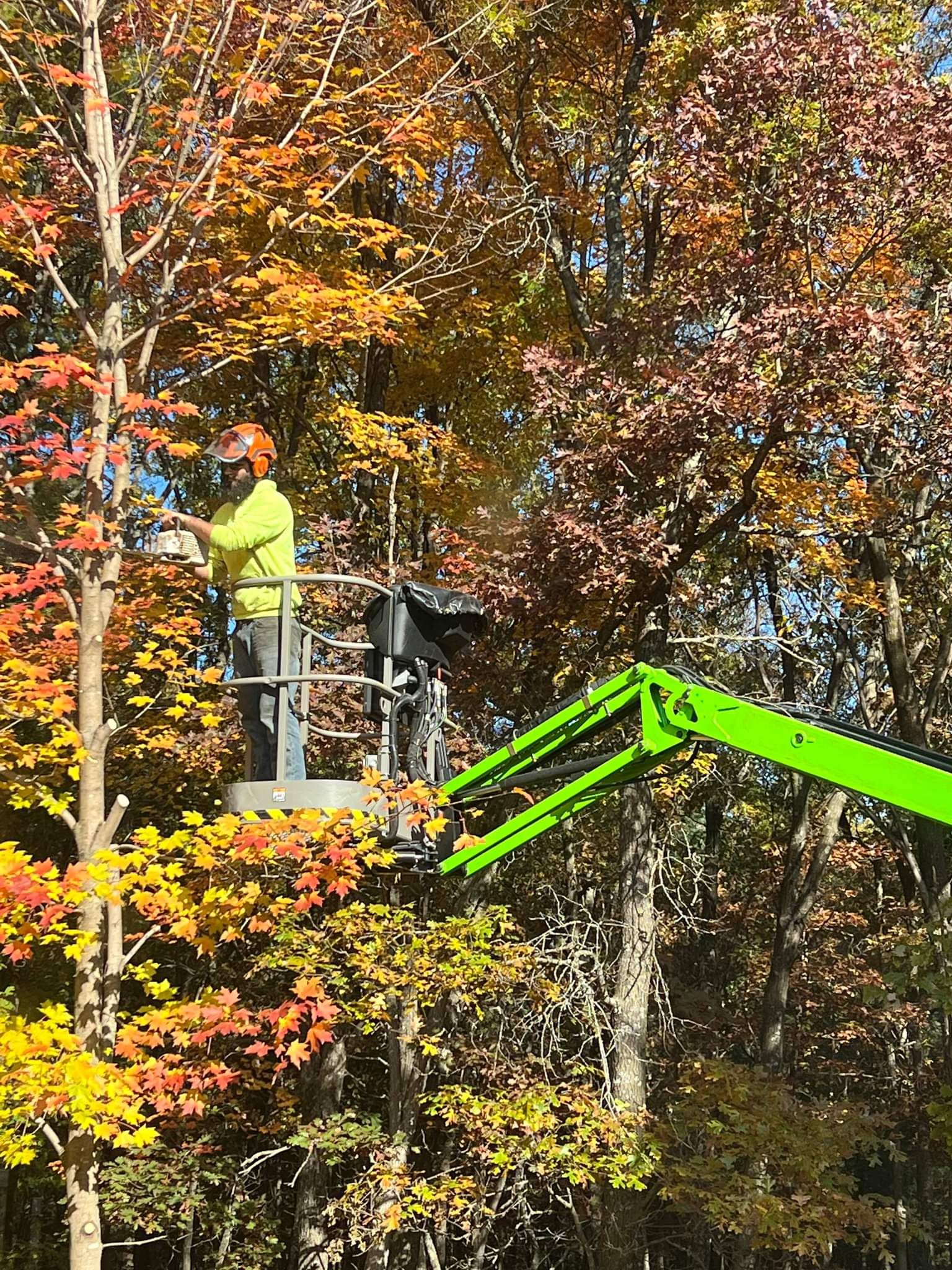 Handrich Tree Service LLC | Tree Services | Tree Trimming | Tree ...