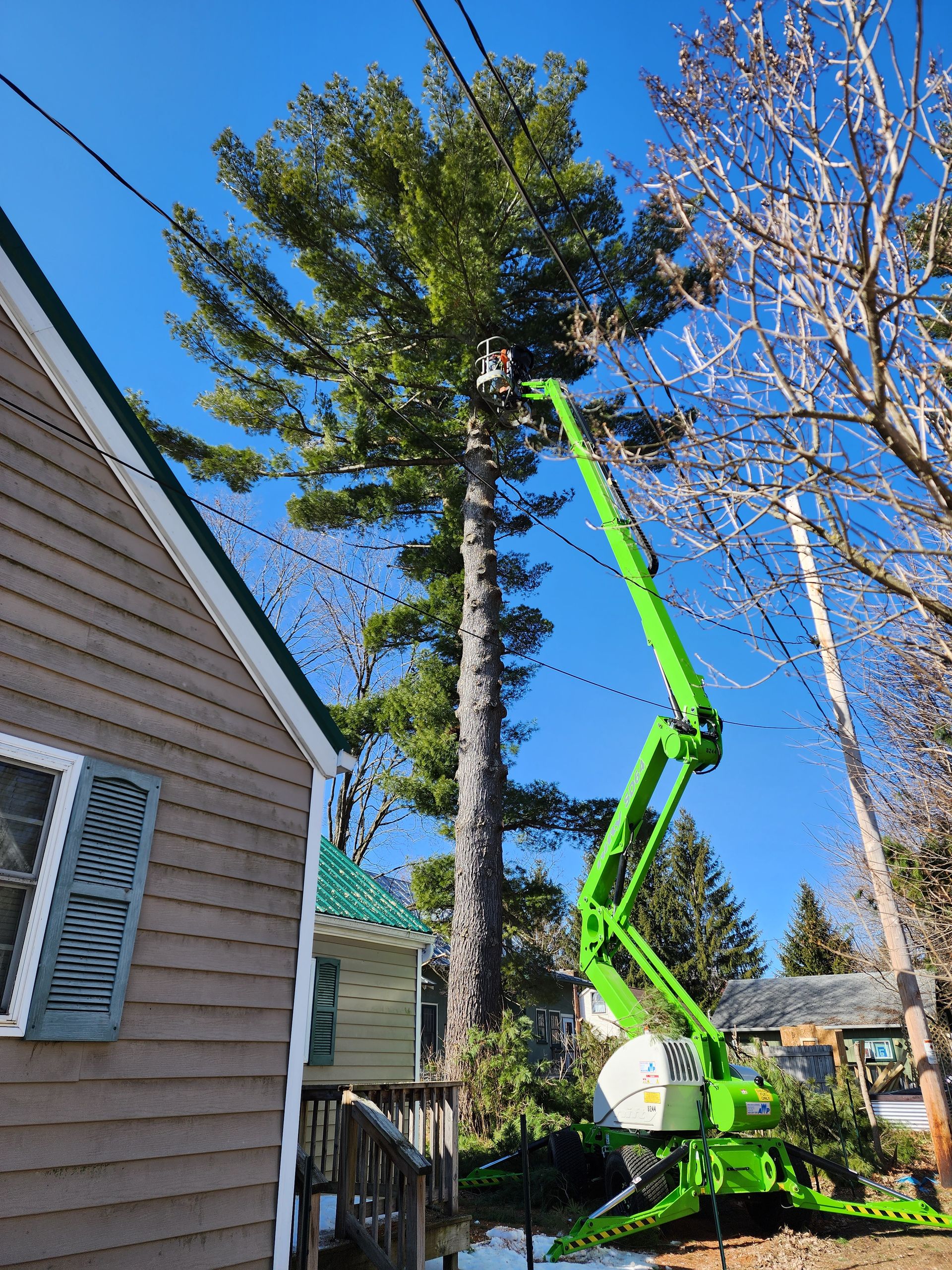 Tree Trimming Services | Wild Rose & Waupaca, WI | Handrich Tree ...