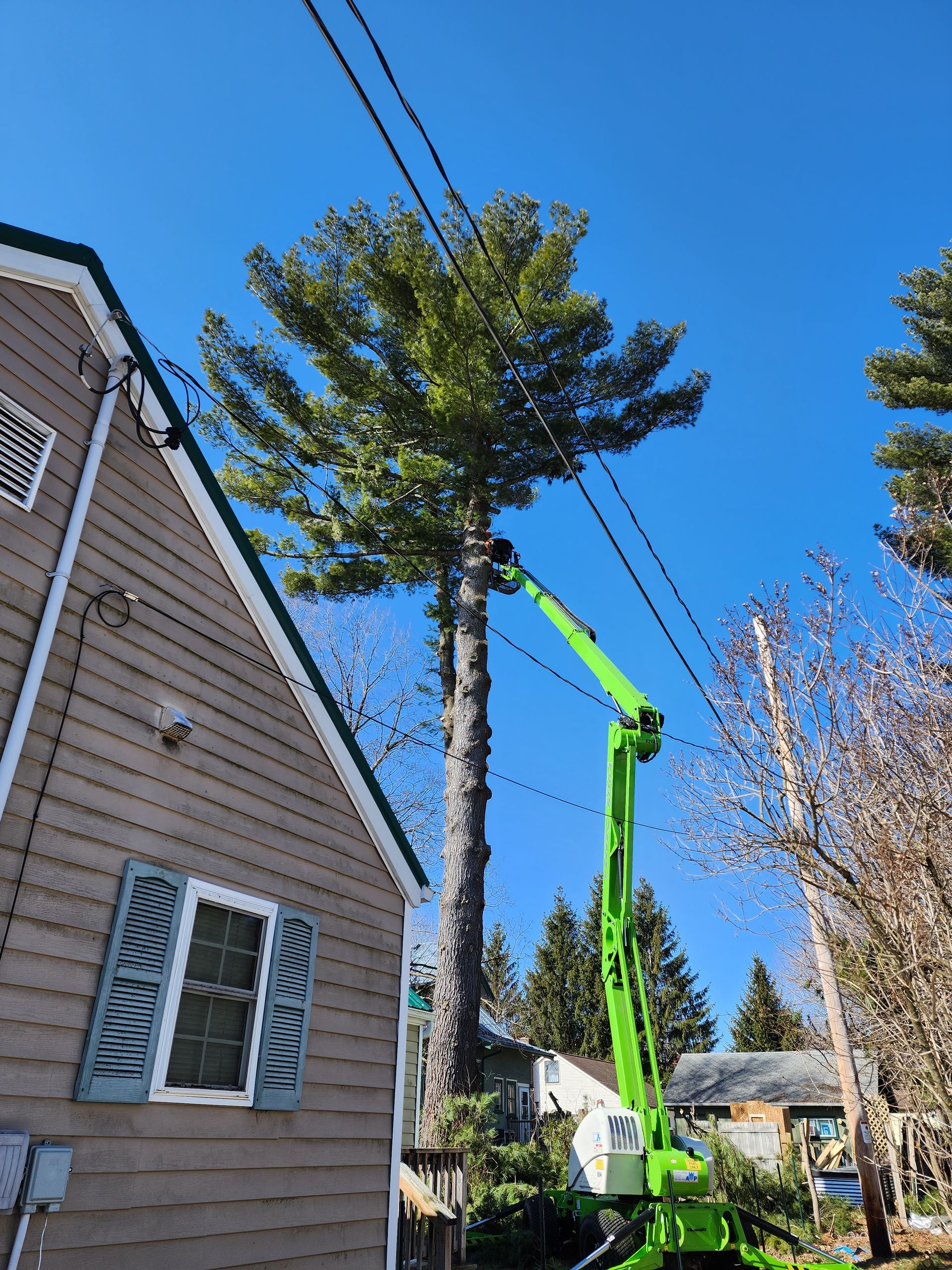 Tree Trimming Services | Wild Rose & Waupaca, WI | Handrich Tree ...