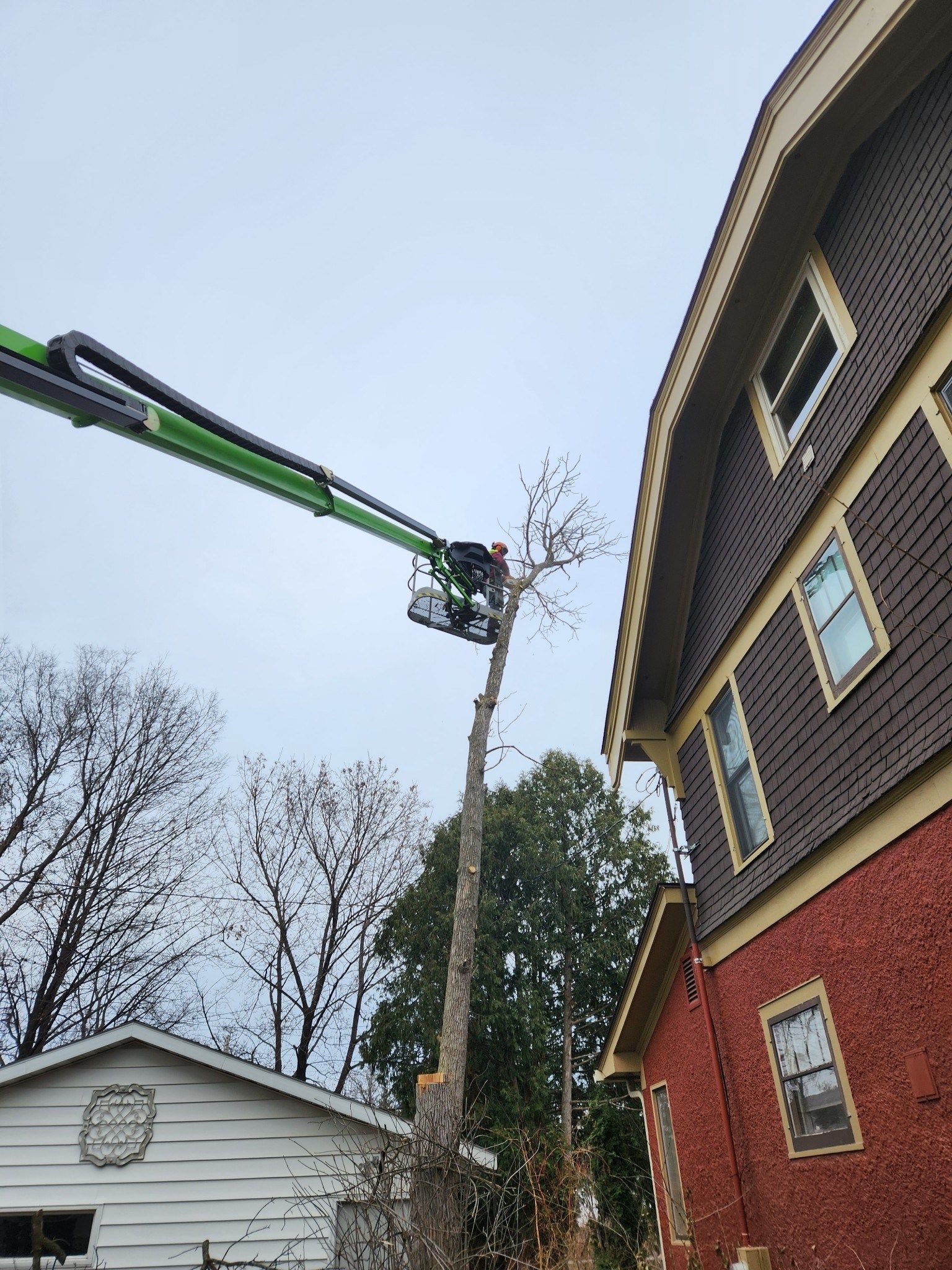 Handrich Tree Service LLC | Tree Services | Tree Trimming | Tree ...