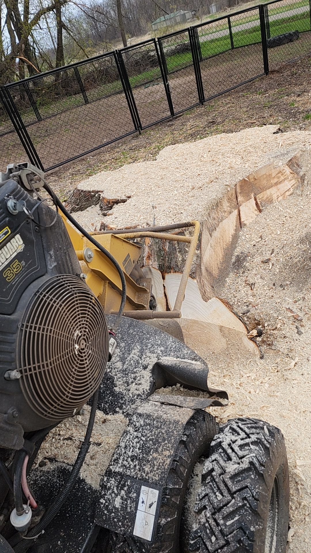 Handrich Tree Service LLC | Tree Services | Tree Trimming | Tree ...