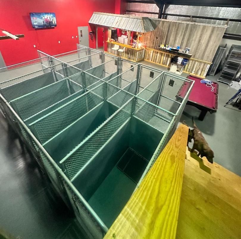 Home [myfurrypetsstaycation.com]