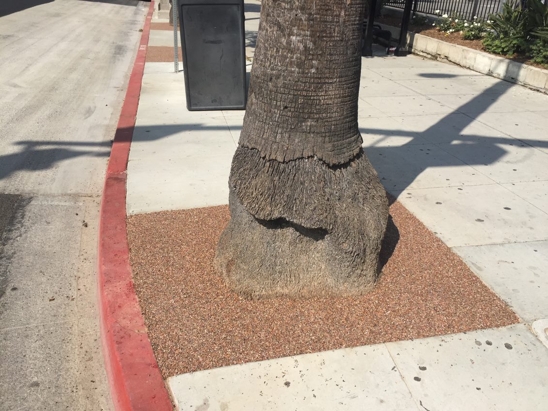 Permeable Tree Pit Paving & Surrounds | Rockpave