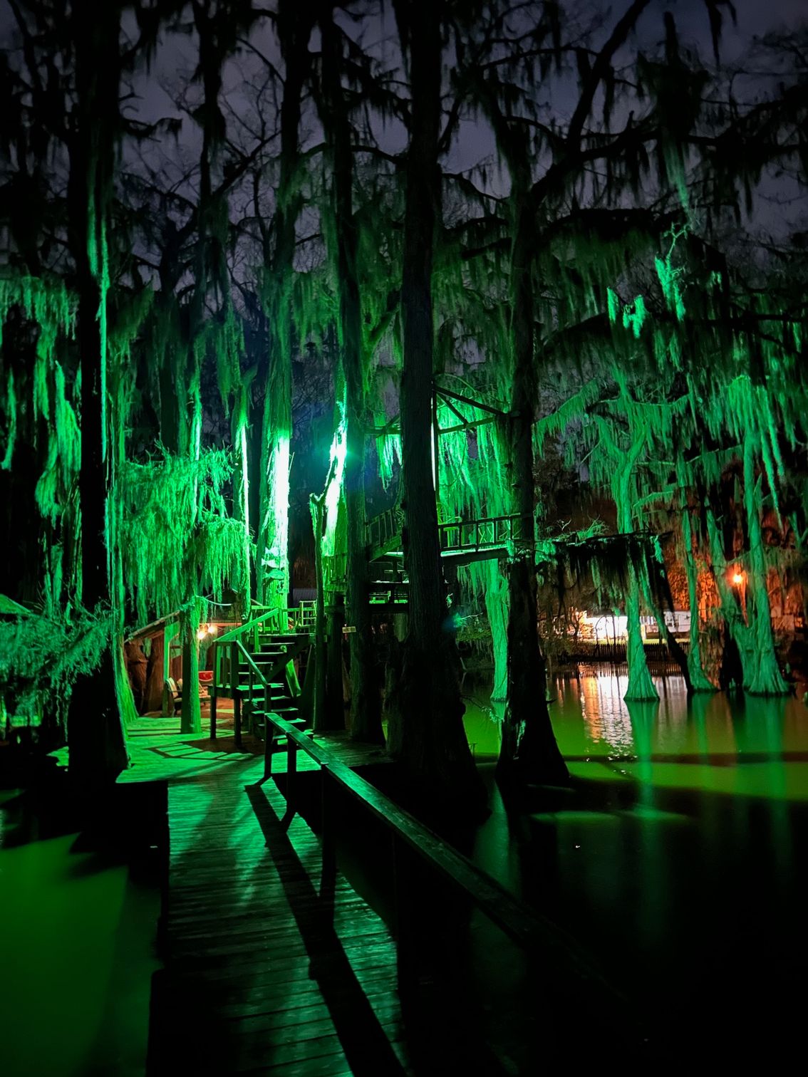 Our Photo & Video Gallery - Spatterdock Guest Houses