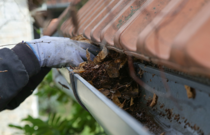 Sarasota Gutter DIY: Pro Tips for Effective Cleaning