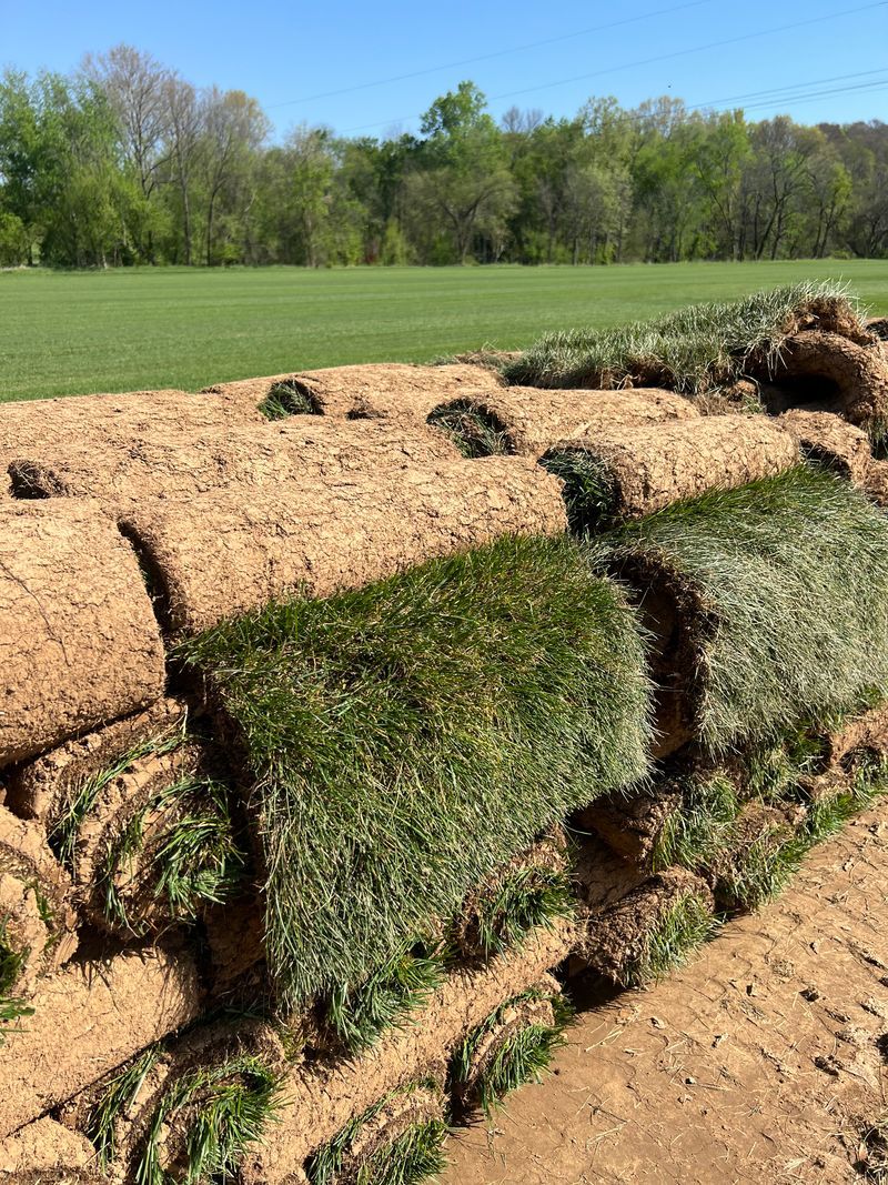 High-Quality Turfgrass Supplier | A & W Southern Sod Farms