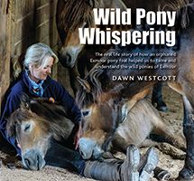Wild Pony Whispering and Exmoor Pony Project Home Page