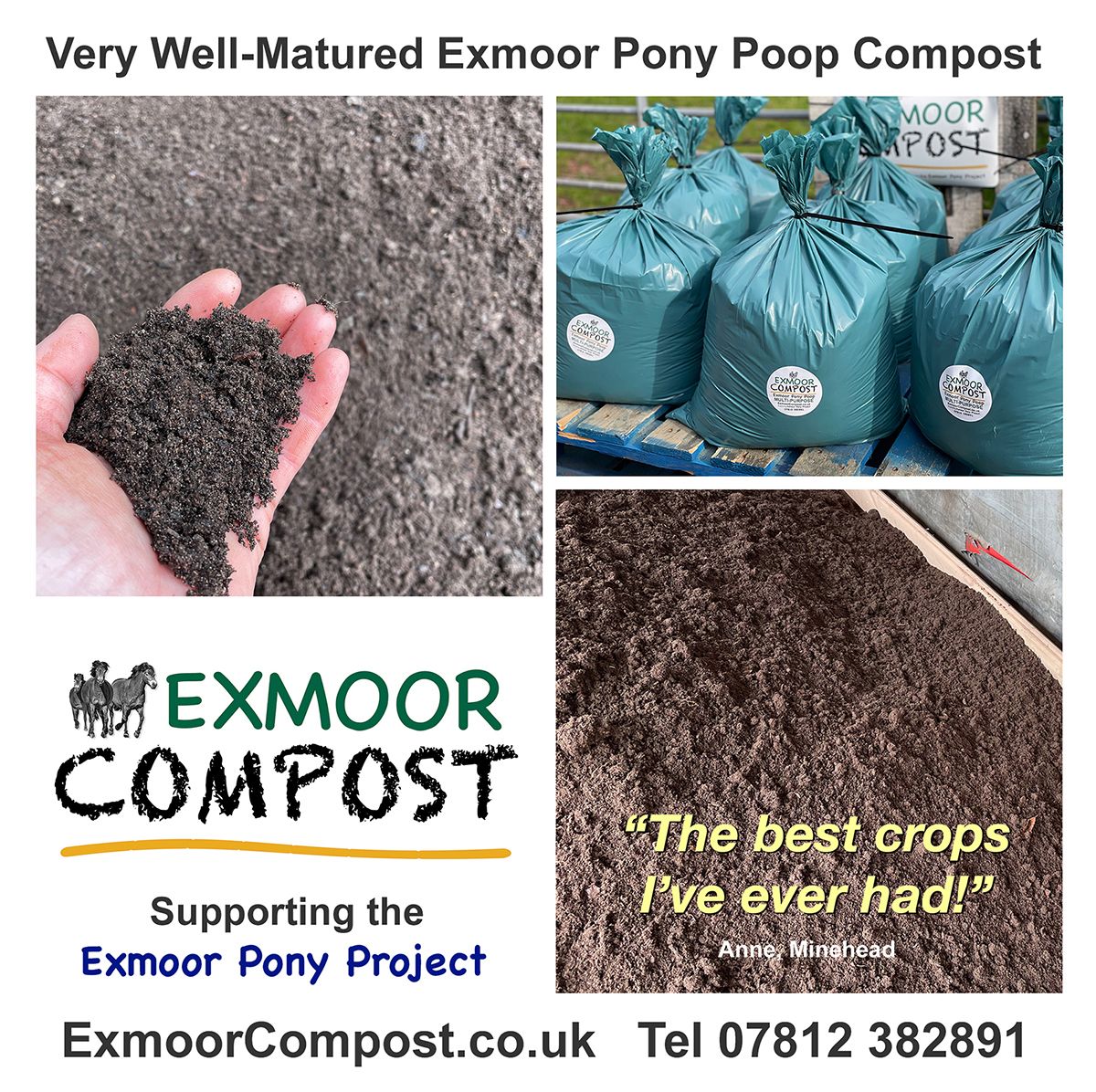 Exmoor Pony Poo Compost