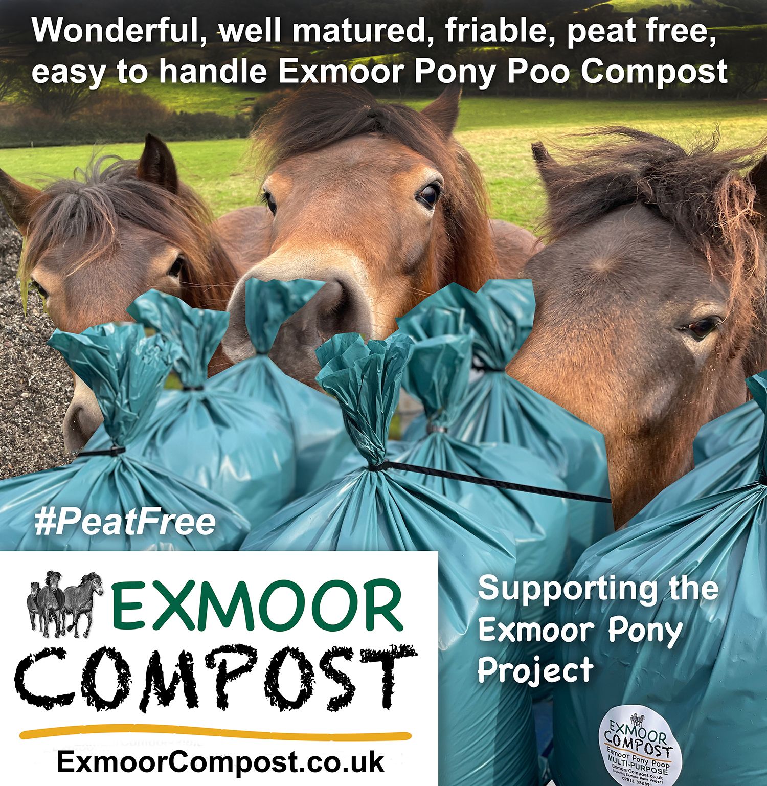 Exmoor Pony Poo Compost