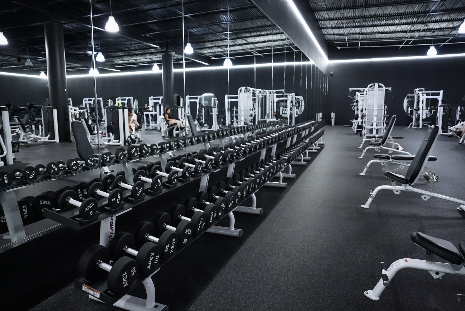 HOME [apexgym.verifiedsecure.net]