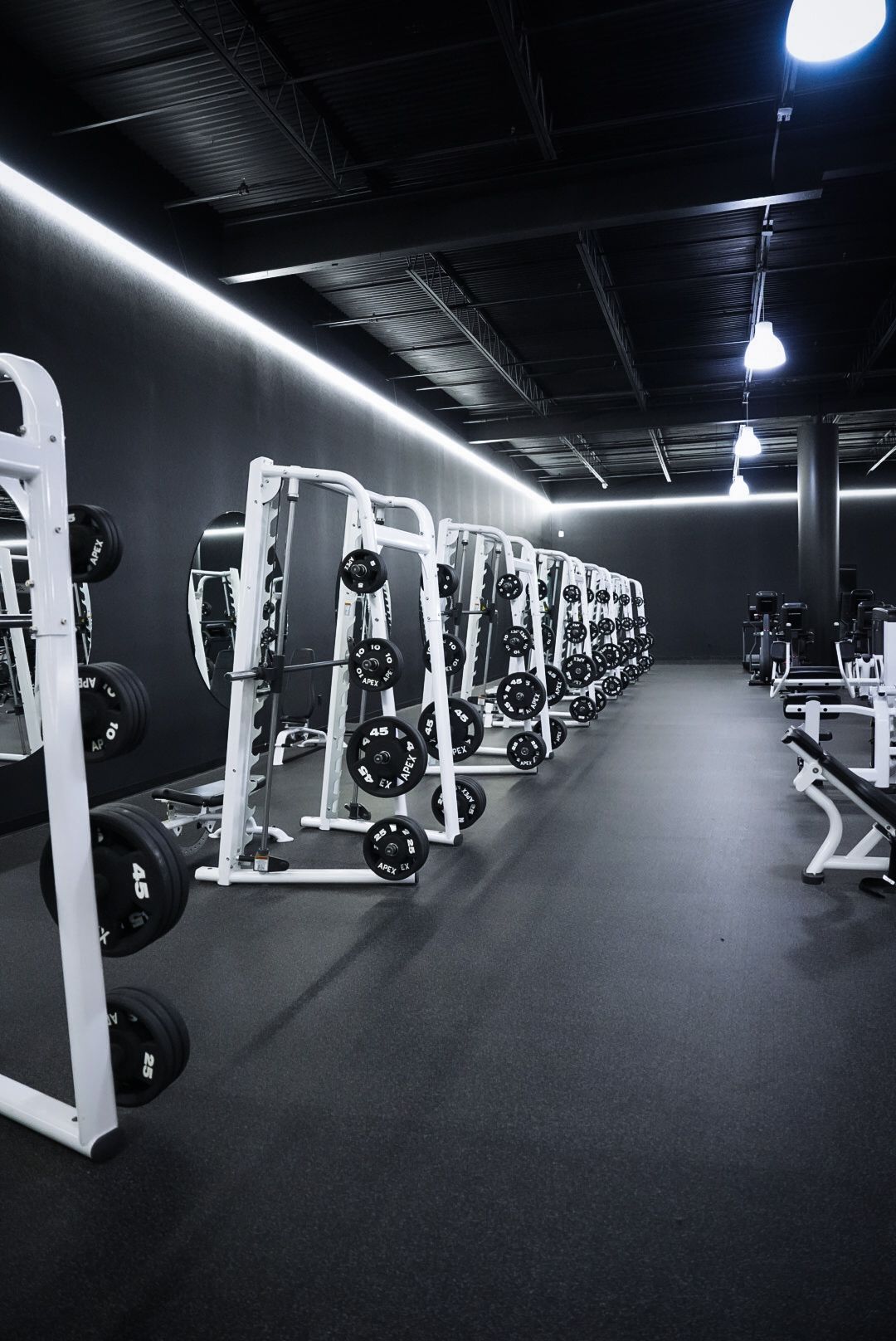 HOME [apexgym.verifiedsecure.net]