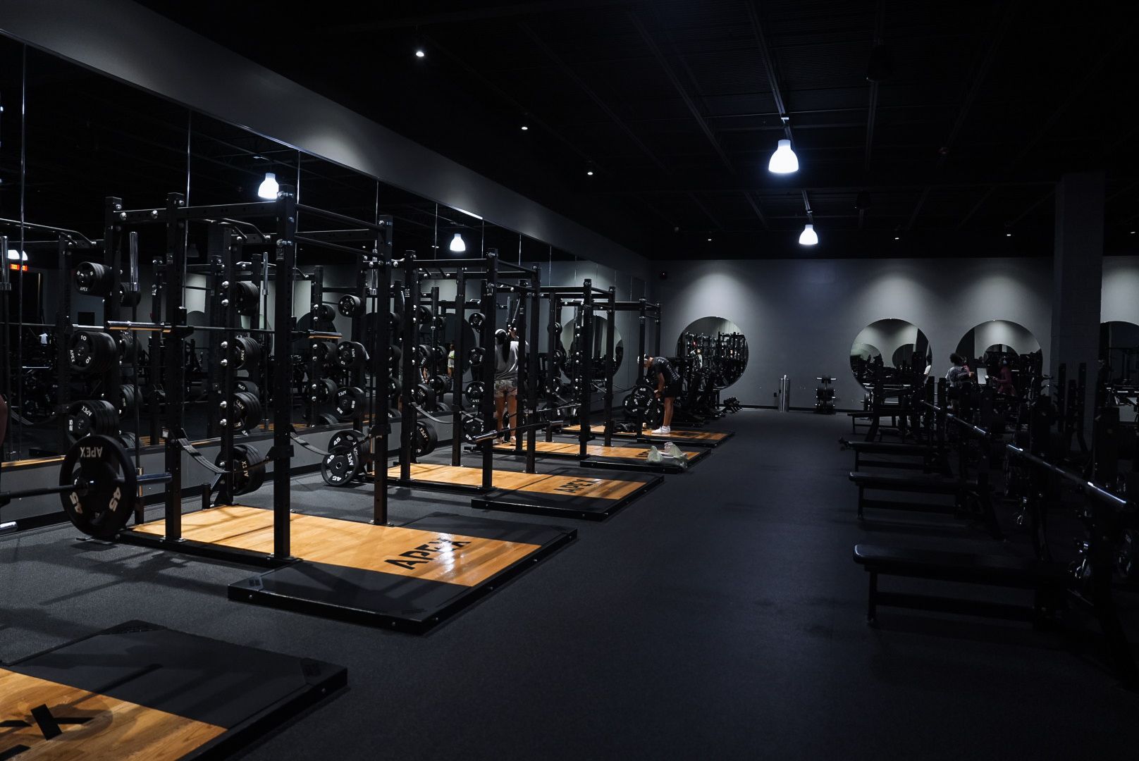 HOME [apexgym.verifiedsecure.net]