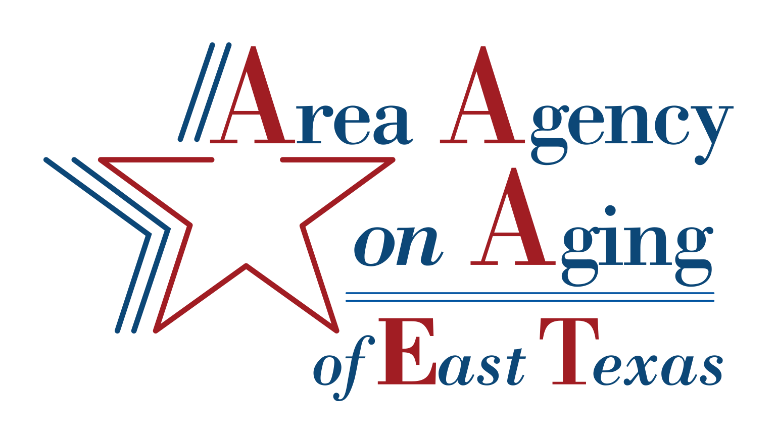 Area Agency on Aging