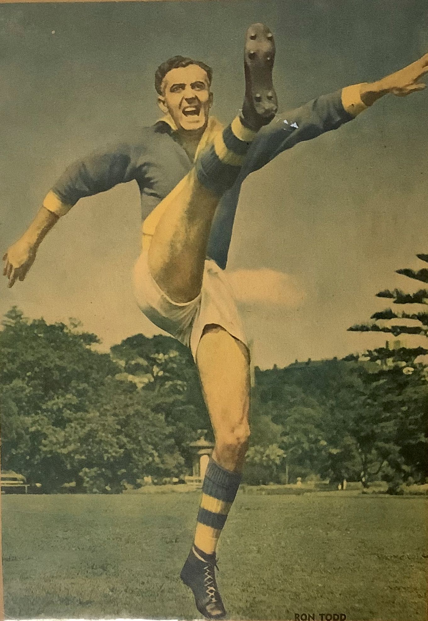 Flight of the Seagulls: 160 Years of Williamstown Football Club