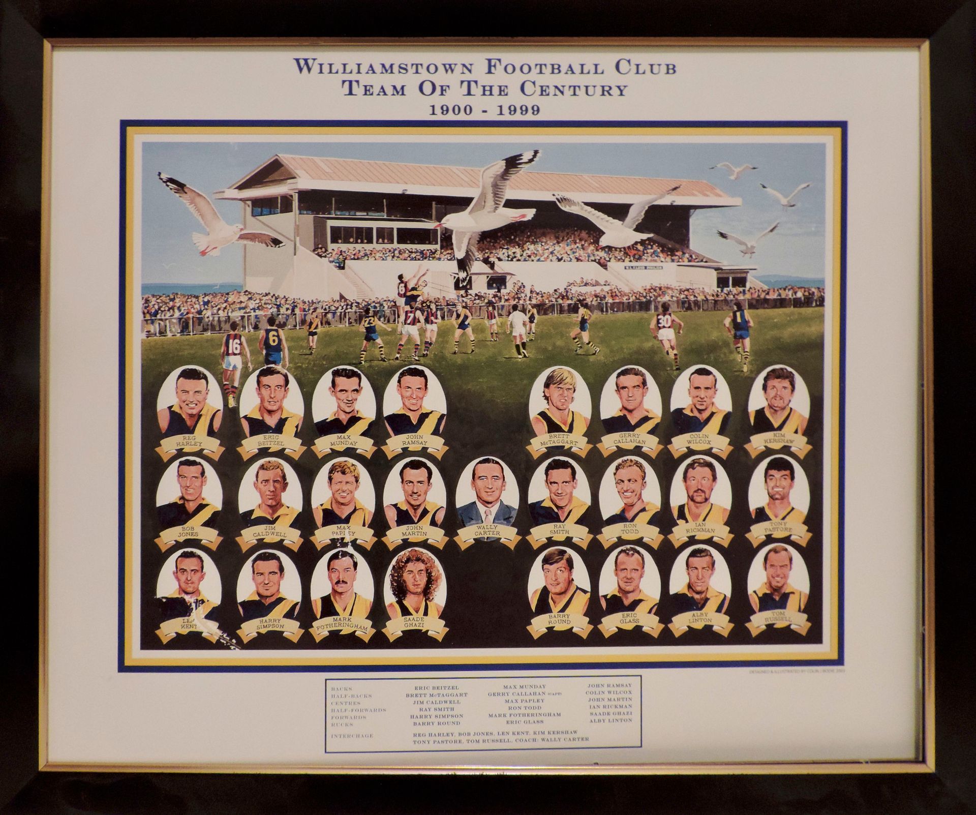 Flight of the Seagulls: 160 Years of Williamstown Football Club