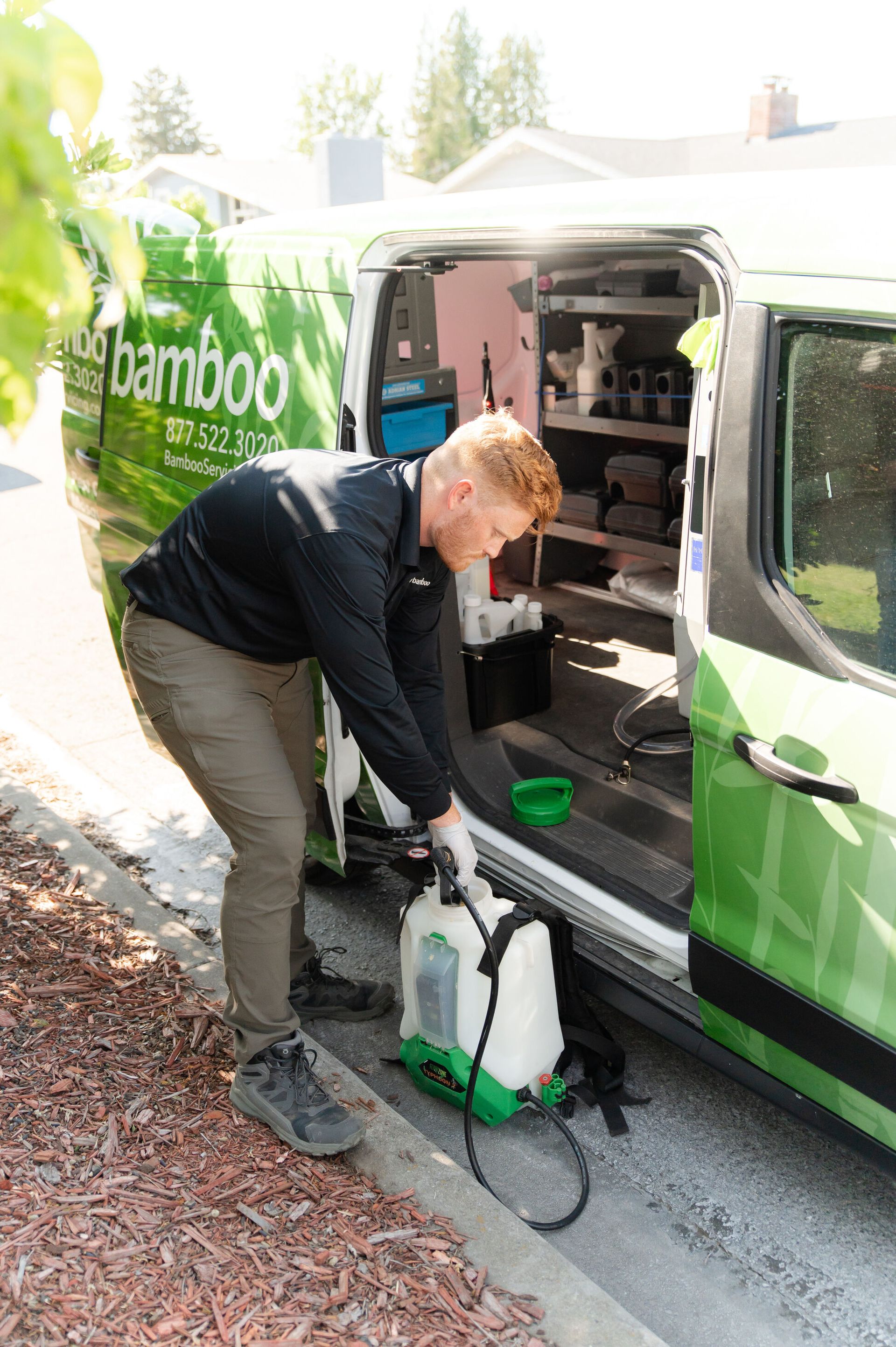 Pest Control Redmond WA | Local Exterminators | Bamboo