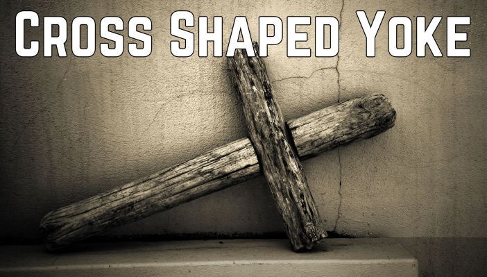 The Cross-shaped Yoke – By Justin Renton
