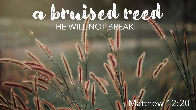 A Bruised Reed He Will Not Break - by David Gongdongwe