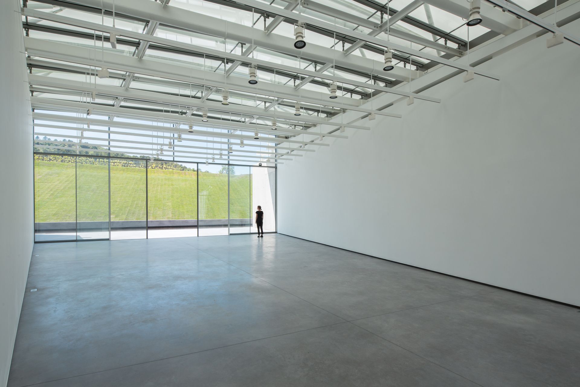 Embracing Elegance: The Art of Minimalist Architecture