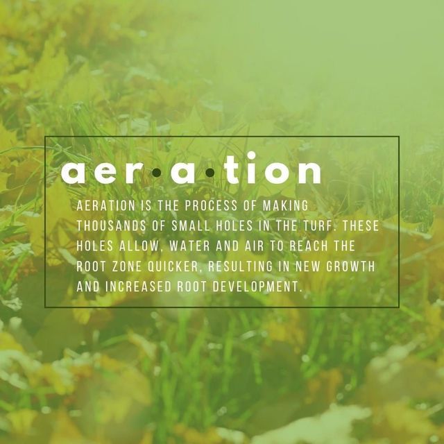 Lawn Aeration Services Billings, MT | Green Magic Lawn Care