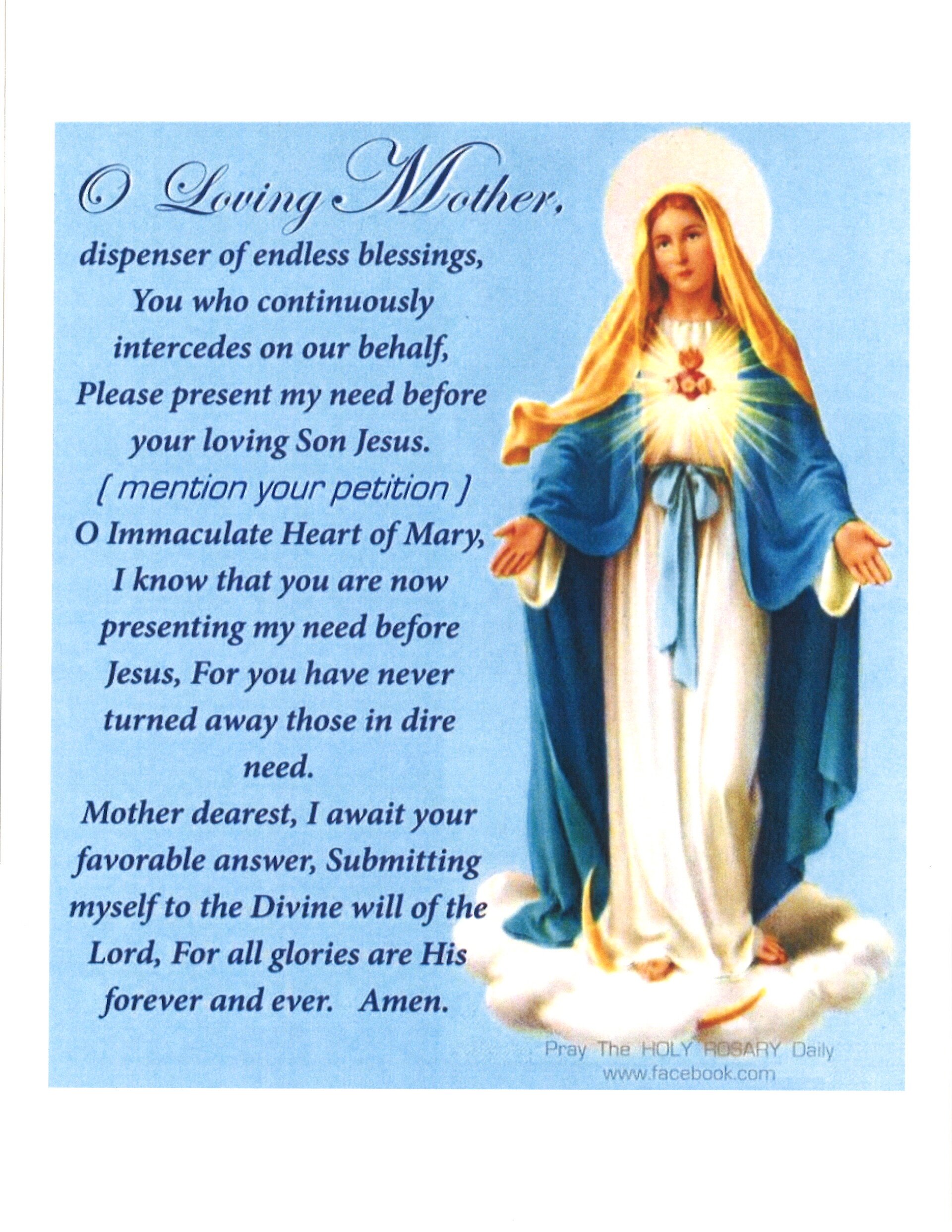 HOME [www.stpaulmissions.org]