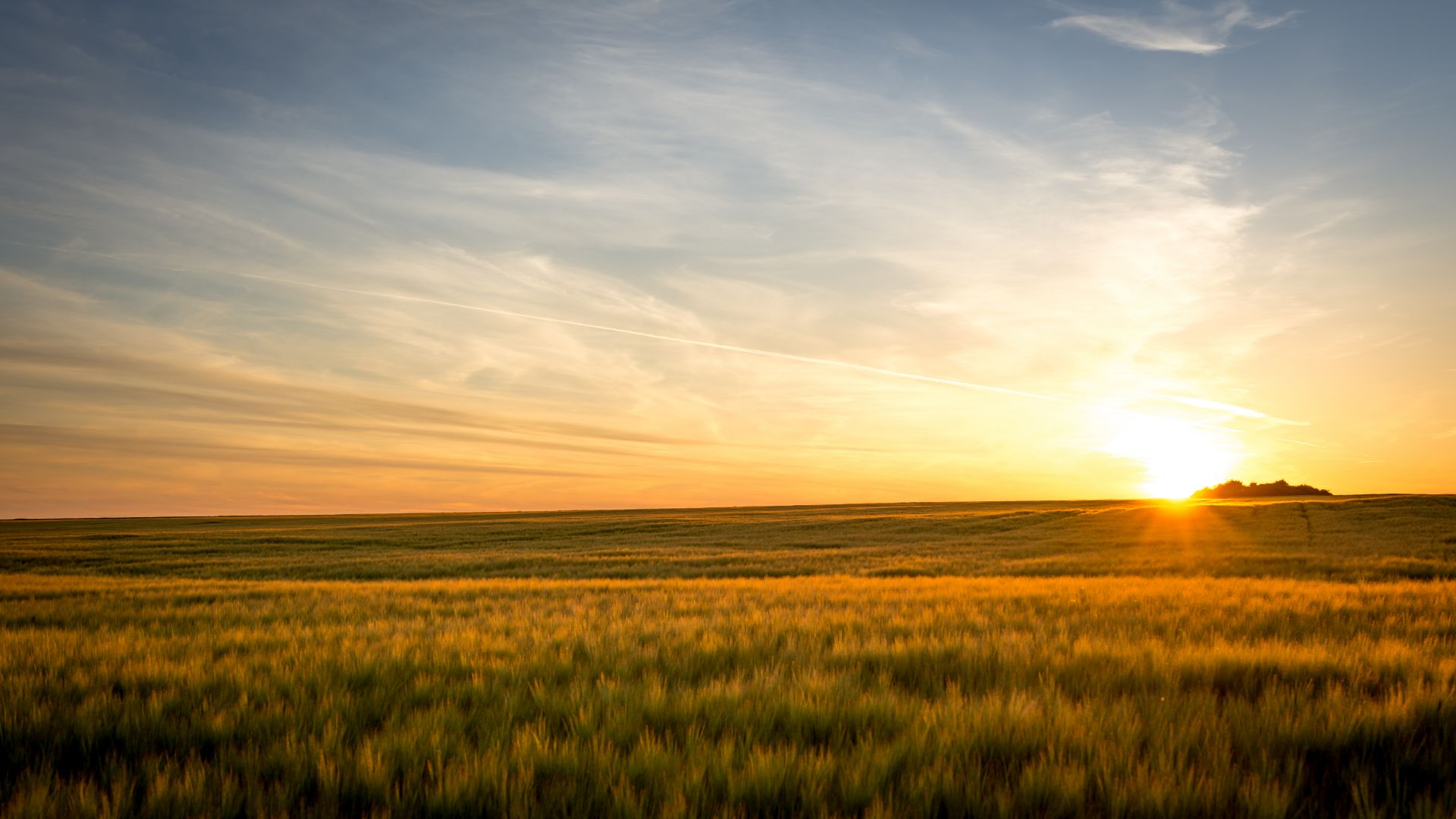 Professional Tax Preparation | Tucson, AZ | Donald Hartman, PC