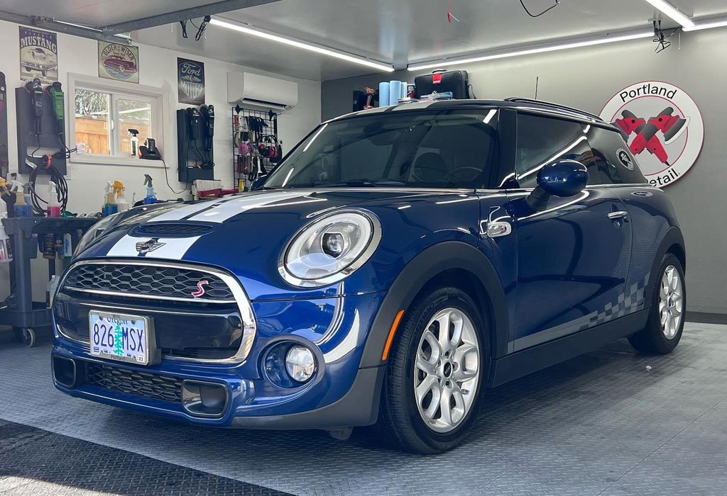 How Coating Can Reduce Bug Splatters and Bird Droppings on Your Vehicle