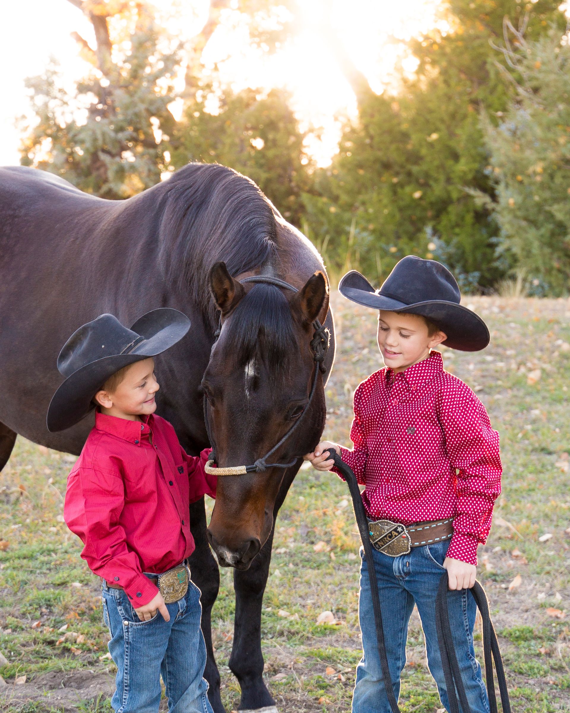 Sampson Ranch | Interior SD