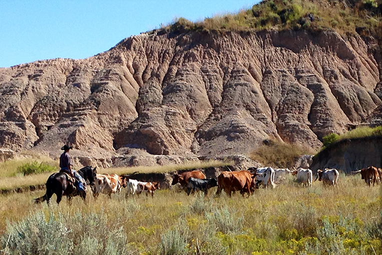Sampson Ranch | Interior SD