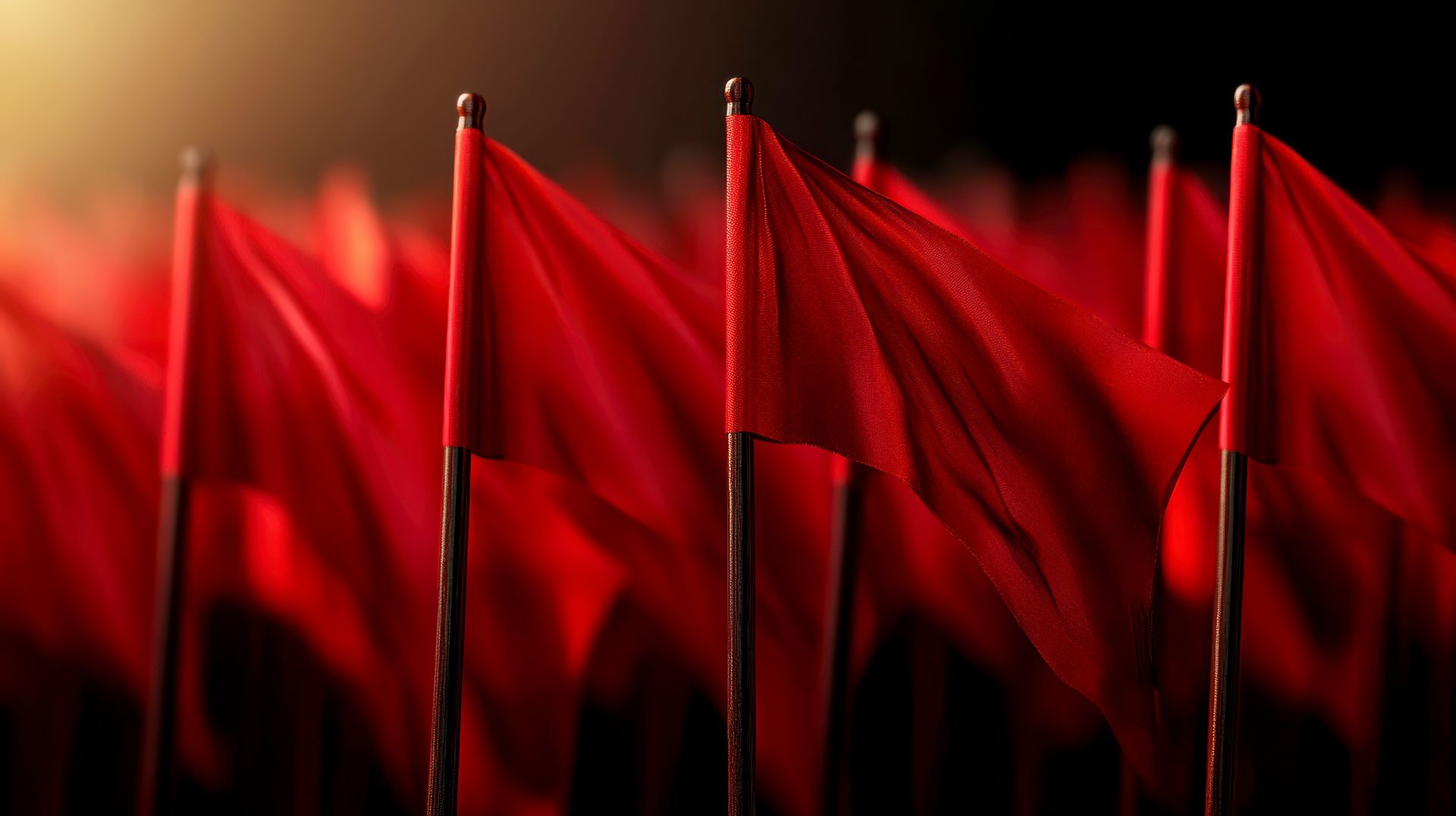 Legal Red Flags in Nonprofit Risk Assessments | Cameron Hawkins