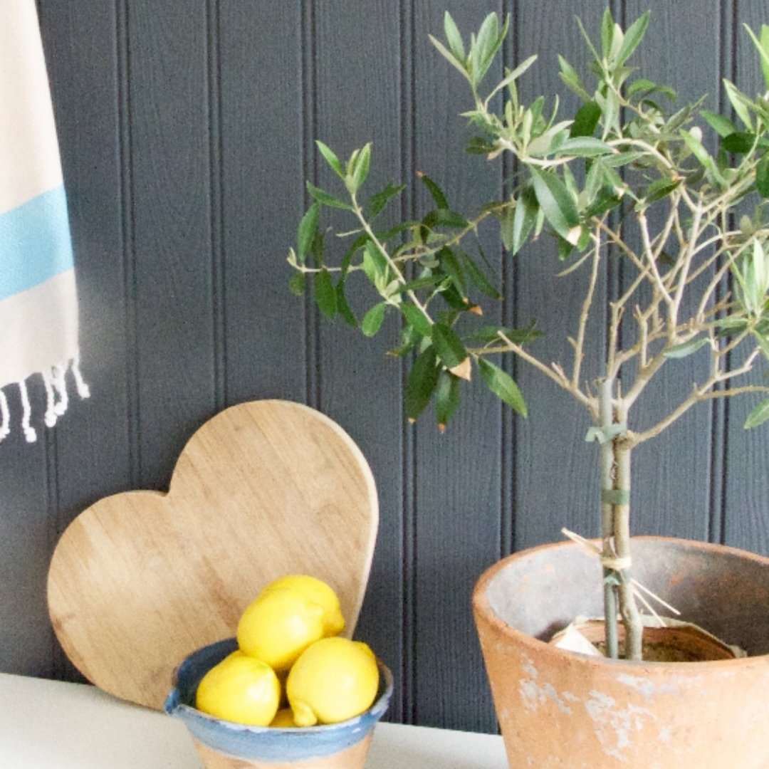MDF Wall Panelling | DIY Wall Panelling by EASipanel