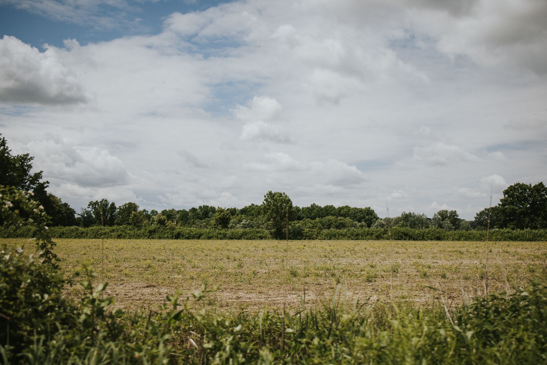 Arizona Vacant Land Insurance (Cost & Coverage)