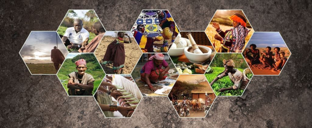The Complexity of Indigenous Knowledge in Conservation