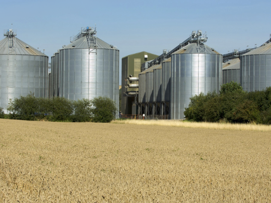 Camgrain | Grain Storage Co-Operative | Our Pools