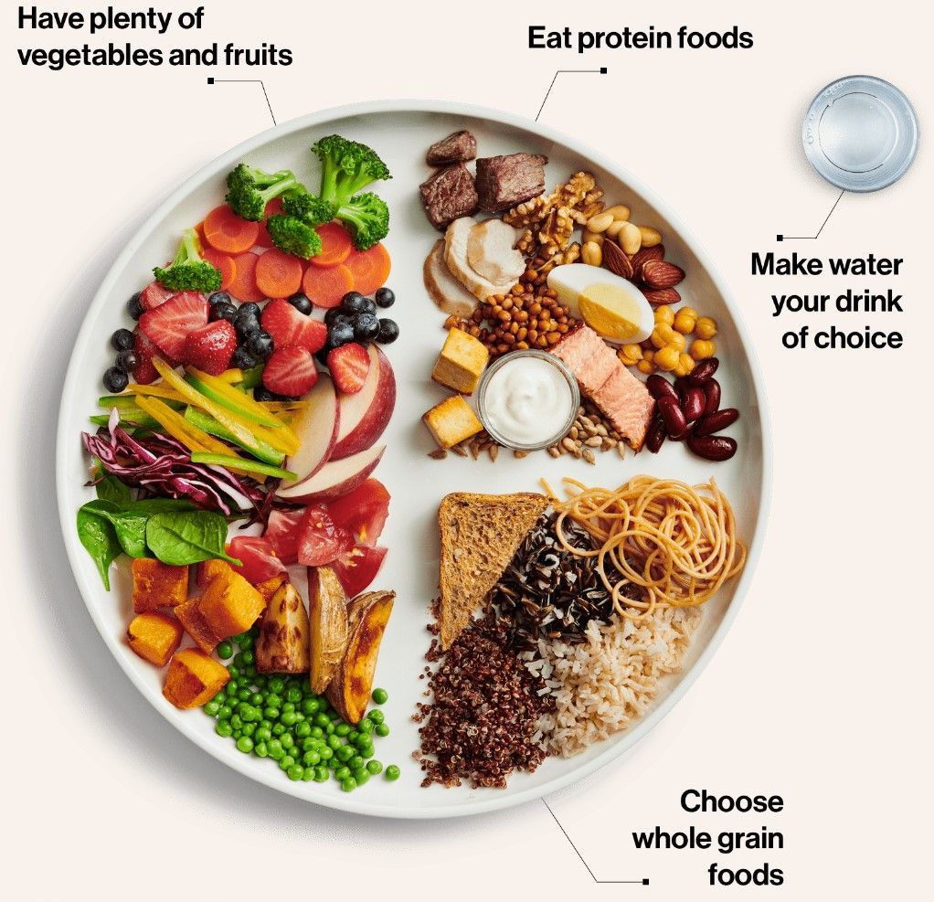 How Has Canada's Food Guide Changed Over Time?