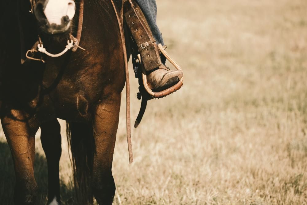 Contact Us | Kempsey Produce & Saddlery