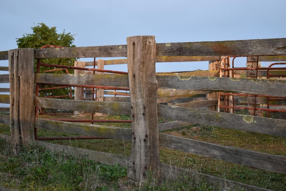 Fencing Supplies in Kempsey | Kempsey Produce & Saddlery