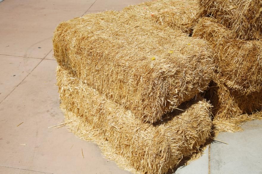 Hay in Kempsey | Kempsey Produce & Saddlery